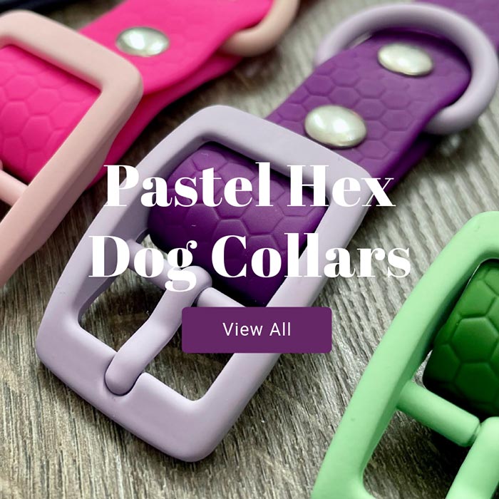 Textured Waterproof Dog Collars with Pastel Hardware – Roxy’s Threads